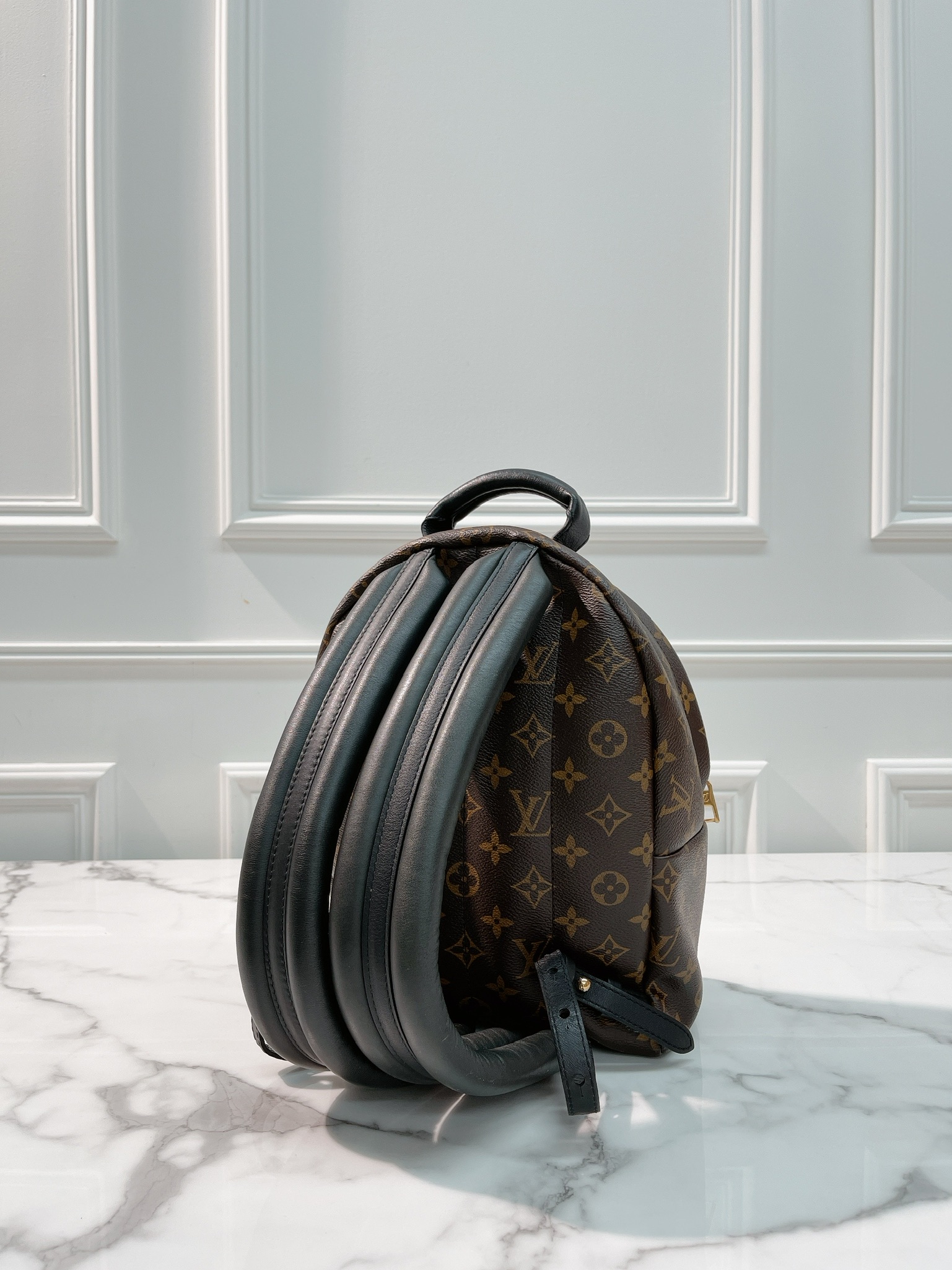 LOUIS VUITTON BACKPACK - Ahli
